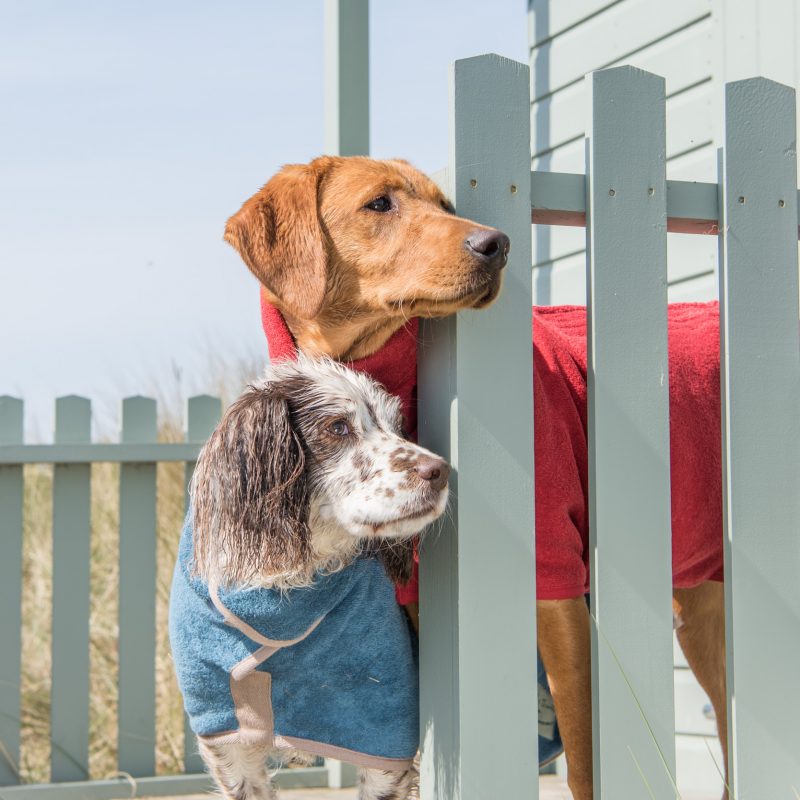 Ruff and Tumble Classic Dog Drying Coats – Brick Red and Sandringham ...
